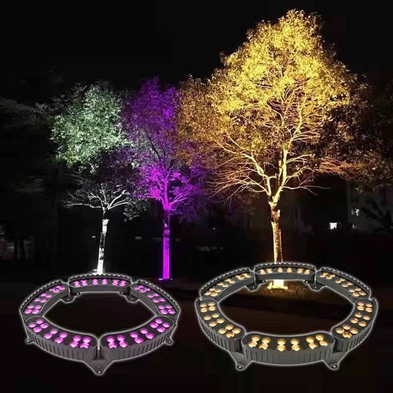 China Outdoor Waterproof IP65 RGB Palm Tree Ring Light for Garden ...
